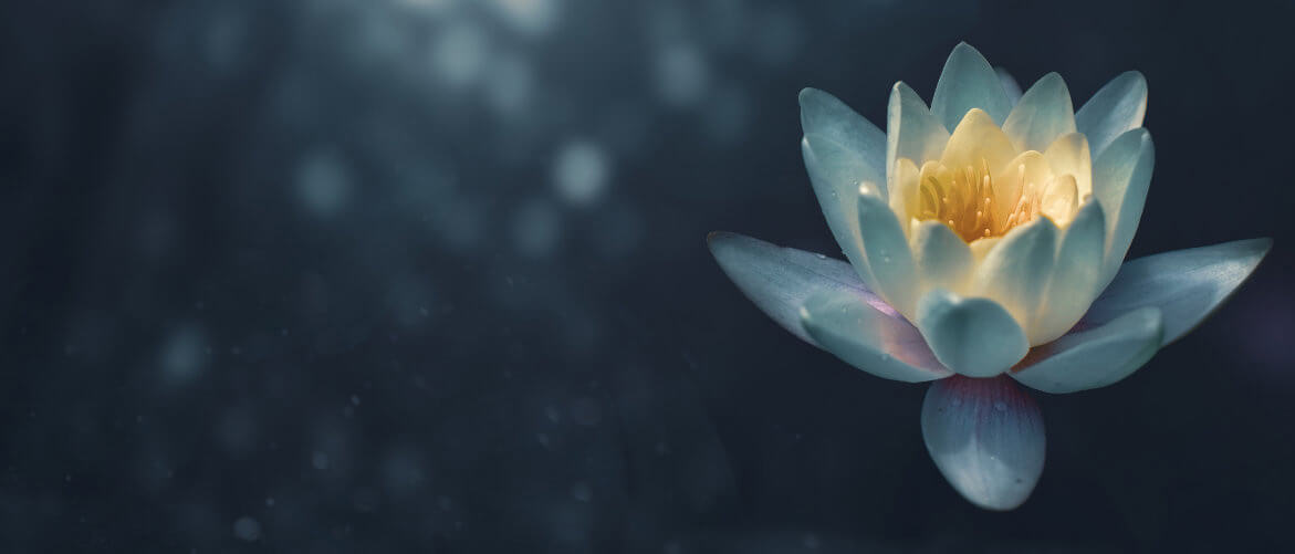 [In-Person] The Power of Insight: A Daylong Retreat - InsightLA Meditation