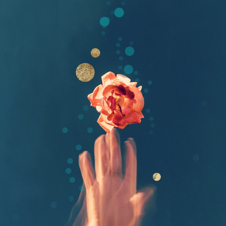 Online Meditation and Mindfulness Events | InsightLA