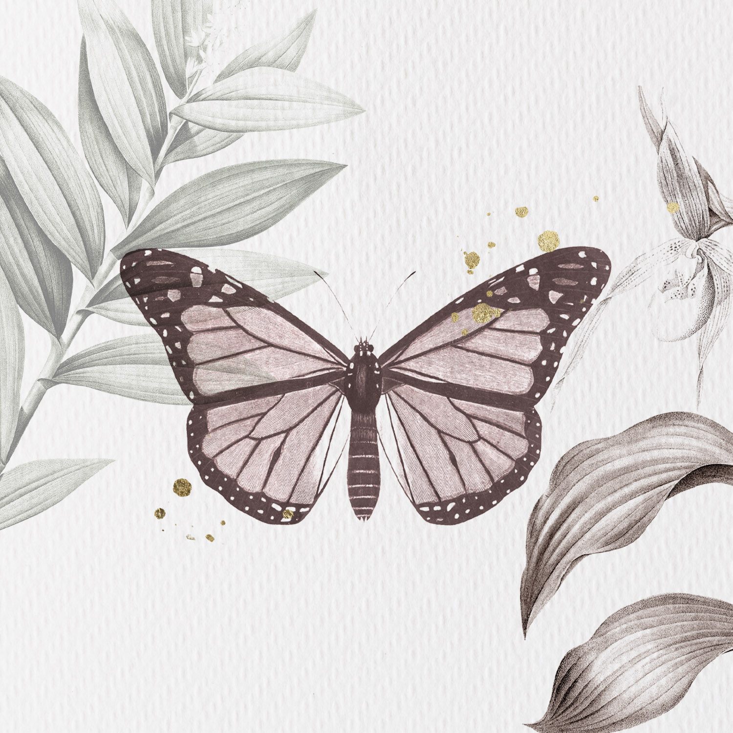 Training In Compassion and Resilience - InsightLA Meditation