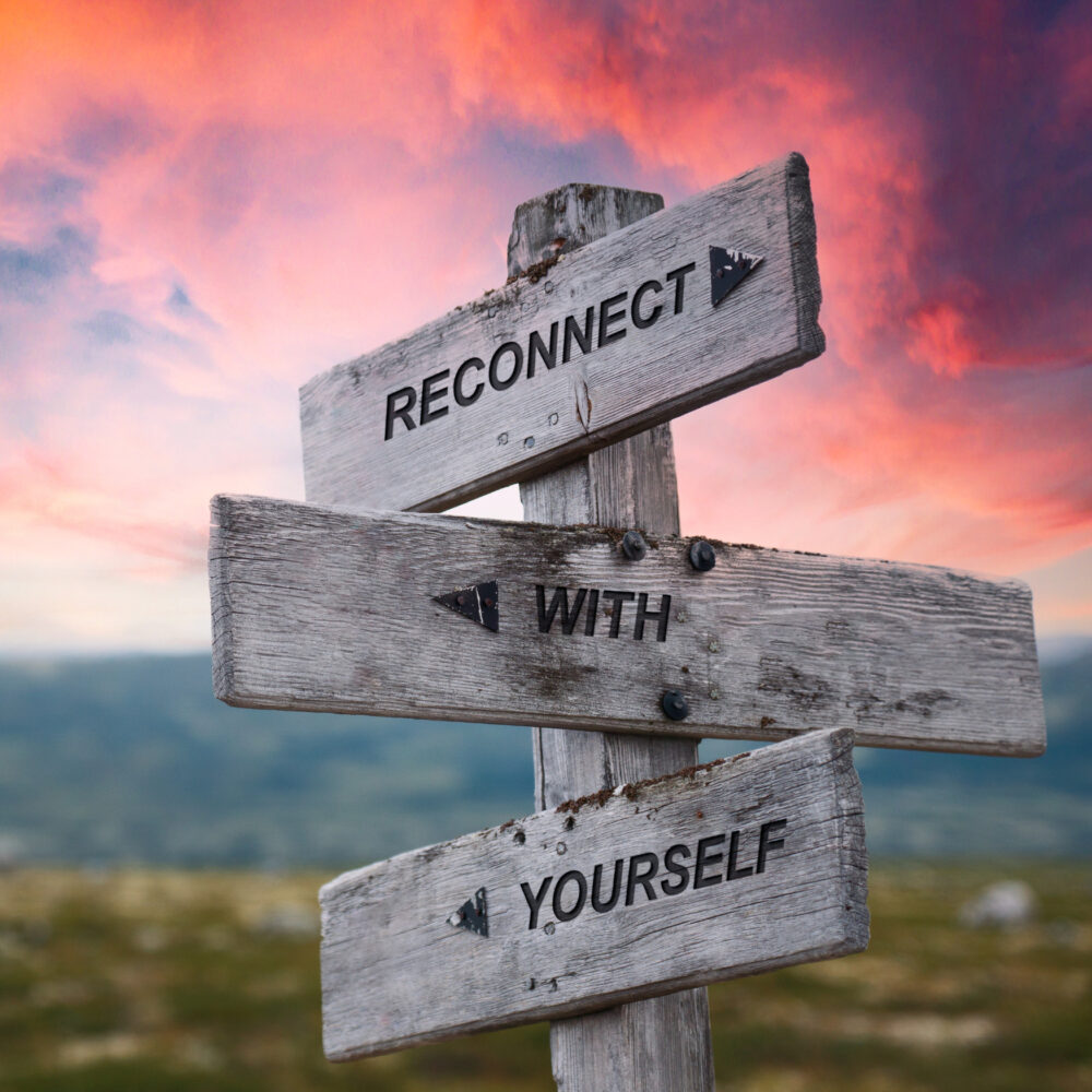 Online Meditation and Mindfulness Events | InsightLA