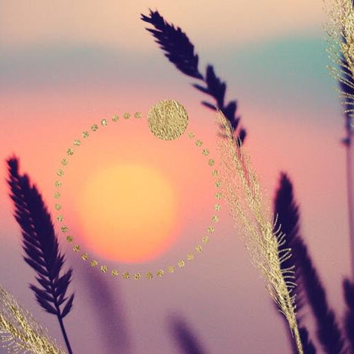 Awakening Joy: Recognizing and Knowing Joy in the Holidays - InsightLA ...