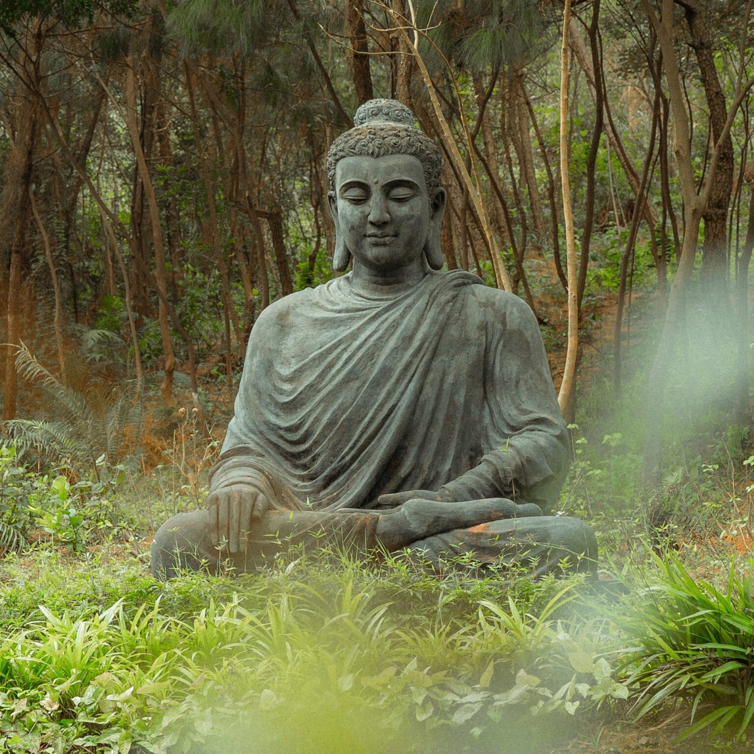 InsightLA - Non-profit Meditation, Practice Mindfulness Online