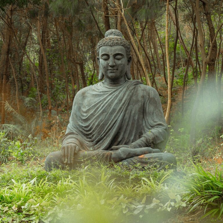 InsightLA - Non-profit Meditation, Practice Mindfulness Online