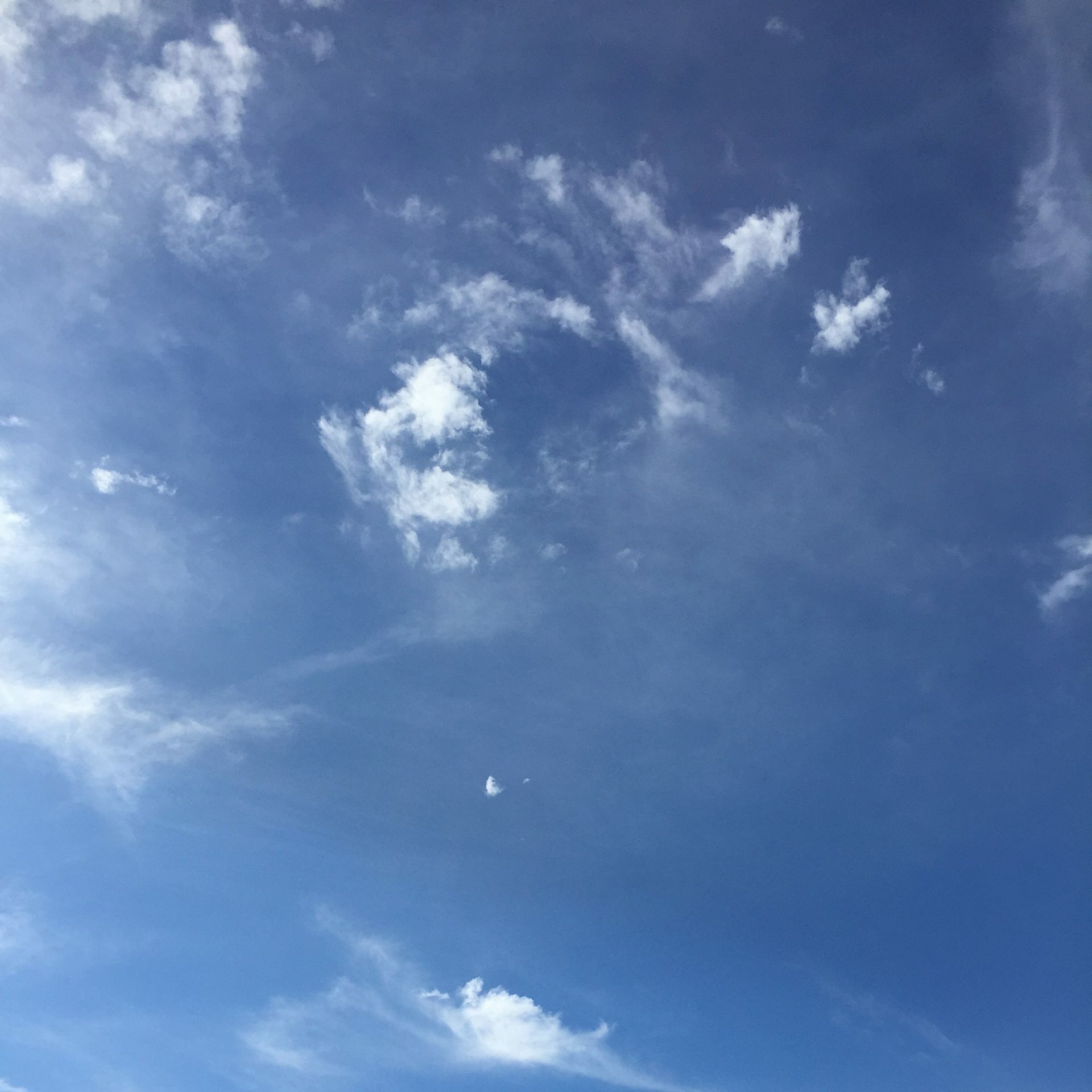 [In-Person] An Insight Retreat - InsightLA Meditation