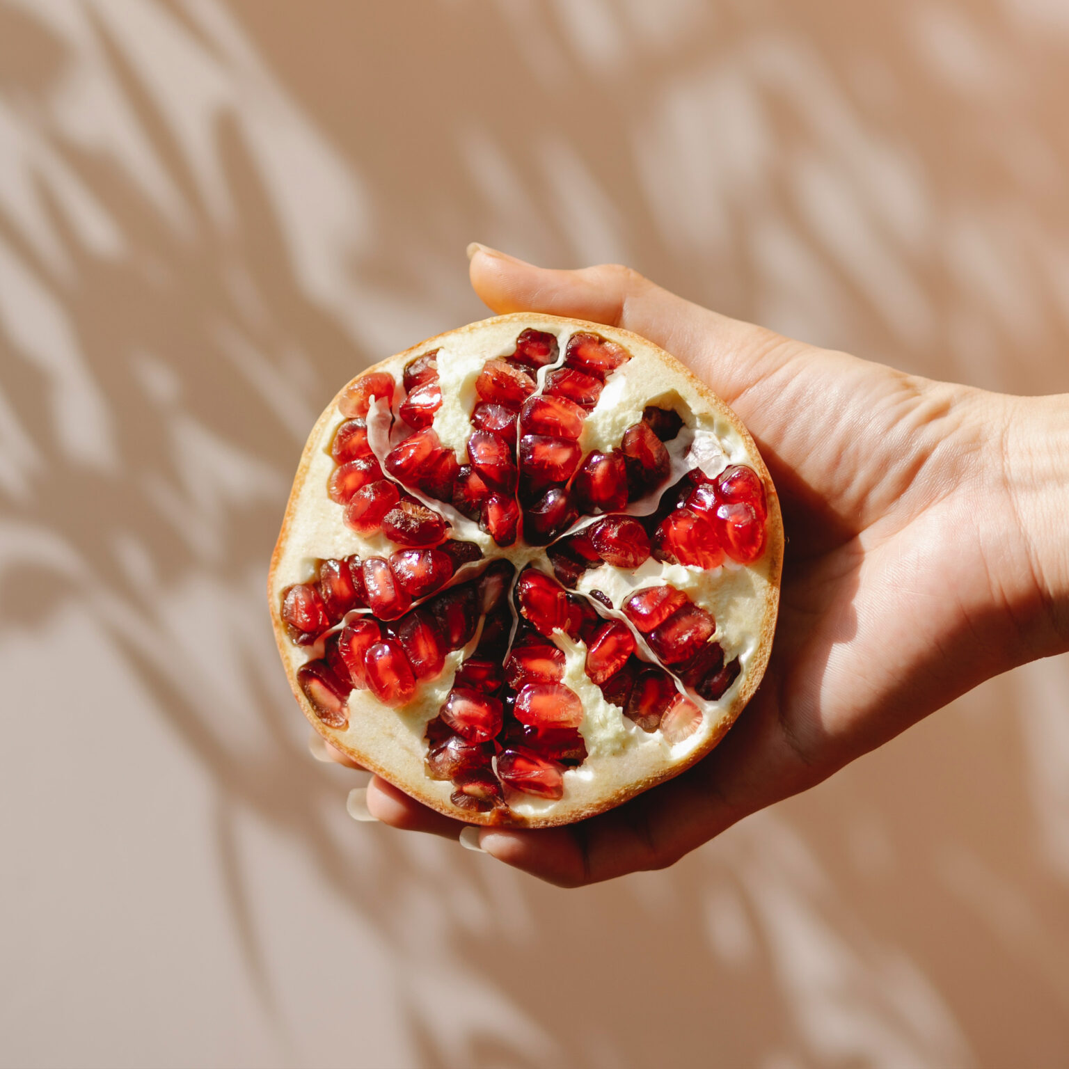 Online Meditation and Mindfulness Events | InsightLA