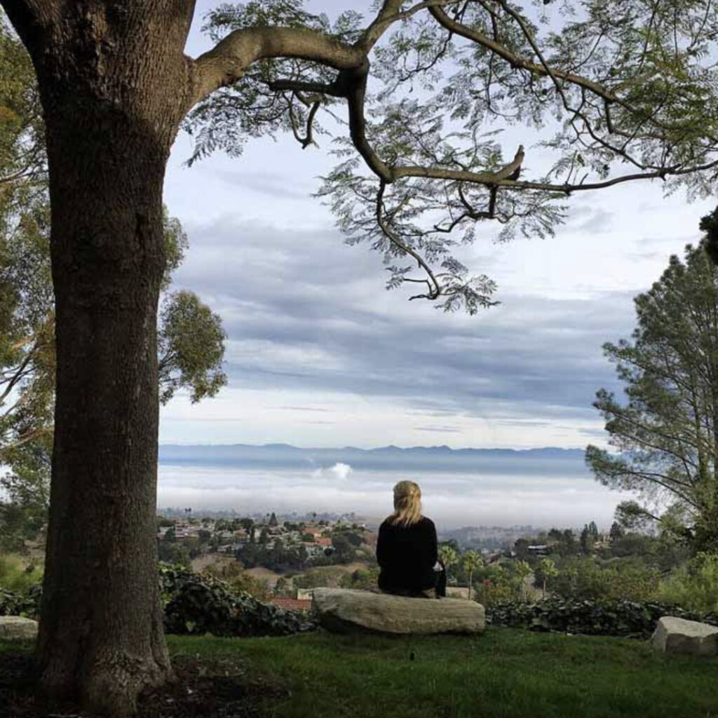 Calendar of Online Meditation Classes | InsightLA