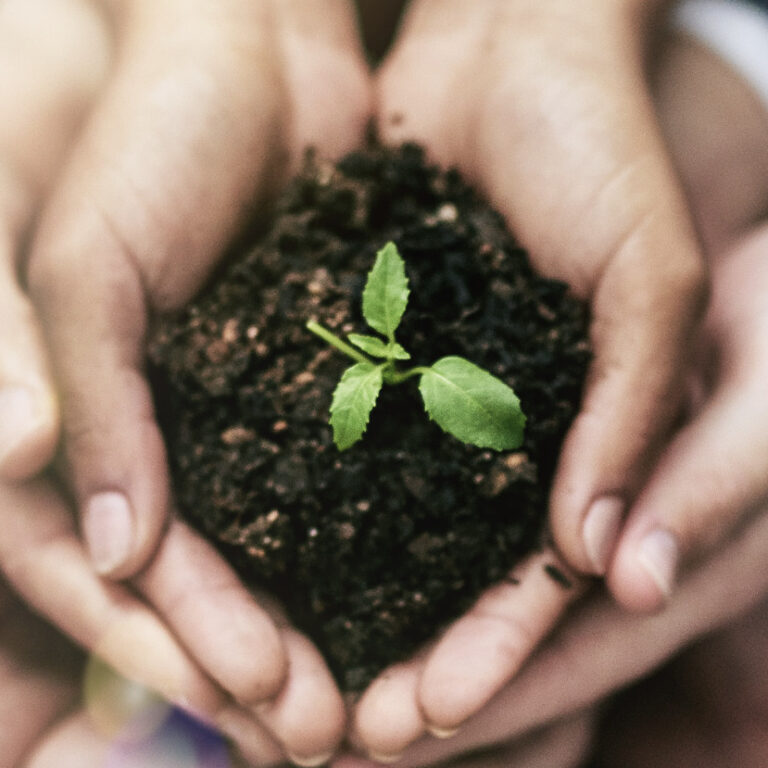 InsightLA - Non-profit Meditation, Practice Mindfulness Online