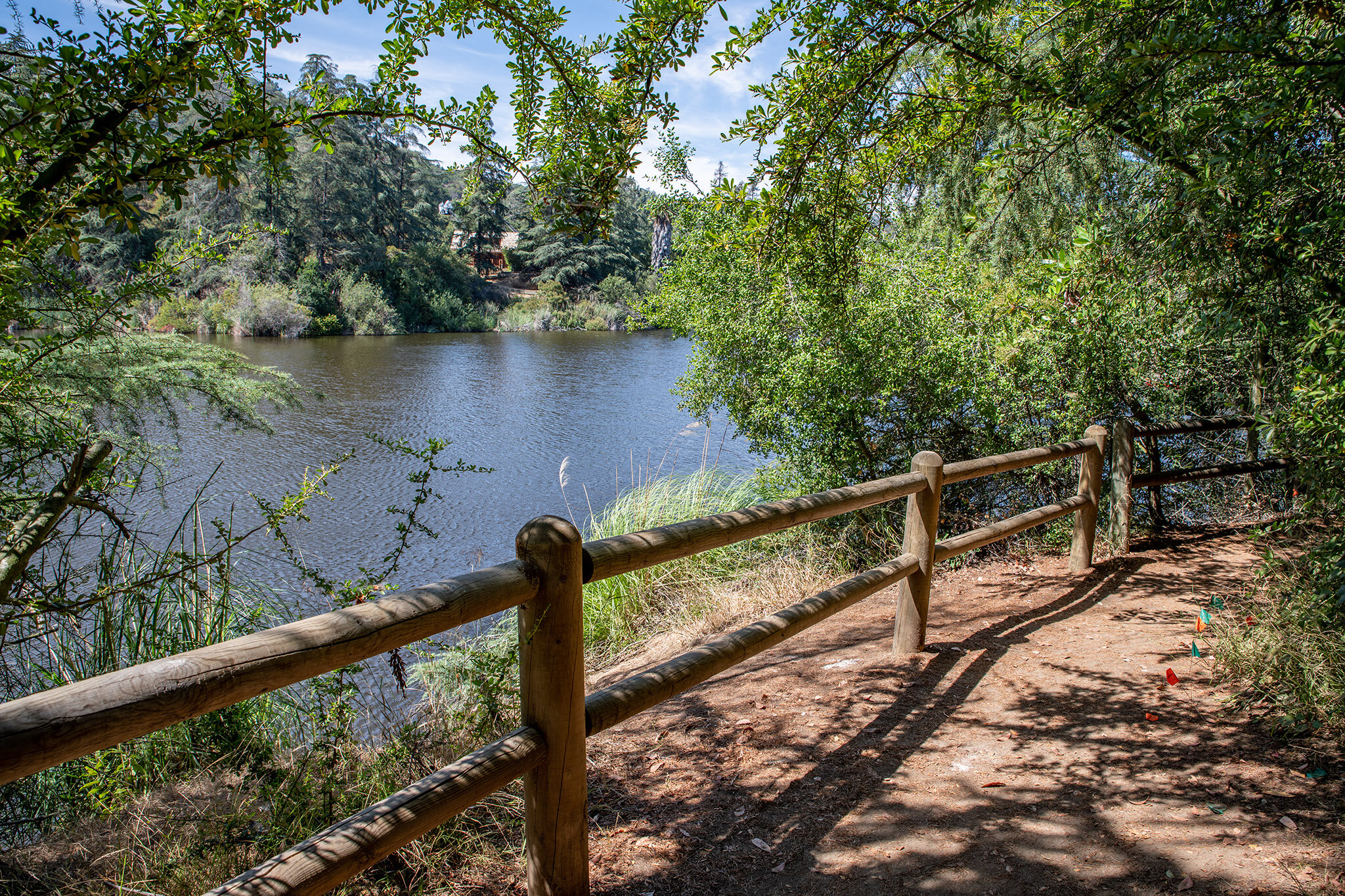 Awe, Sense and Savor, and Nature Walks - InsightLA Meditation