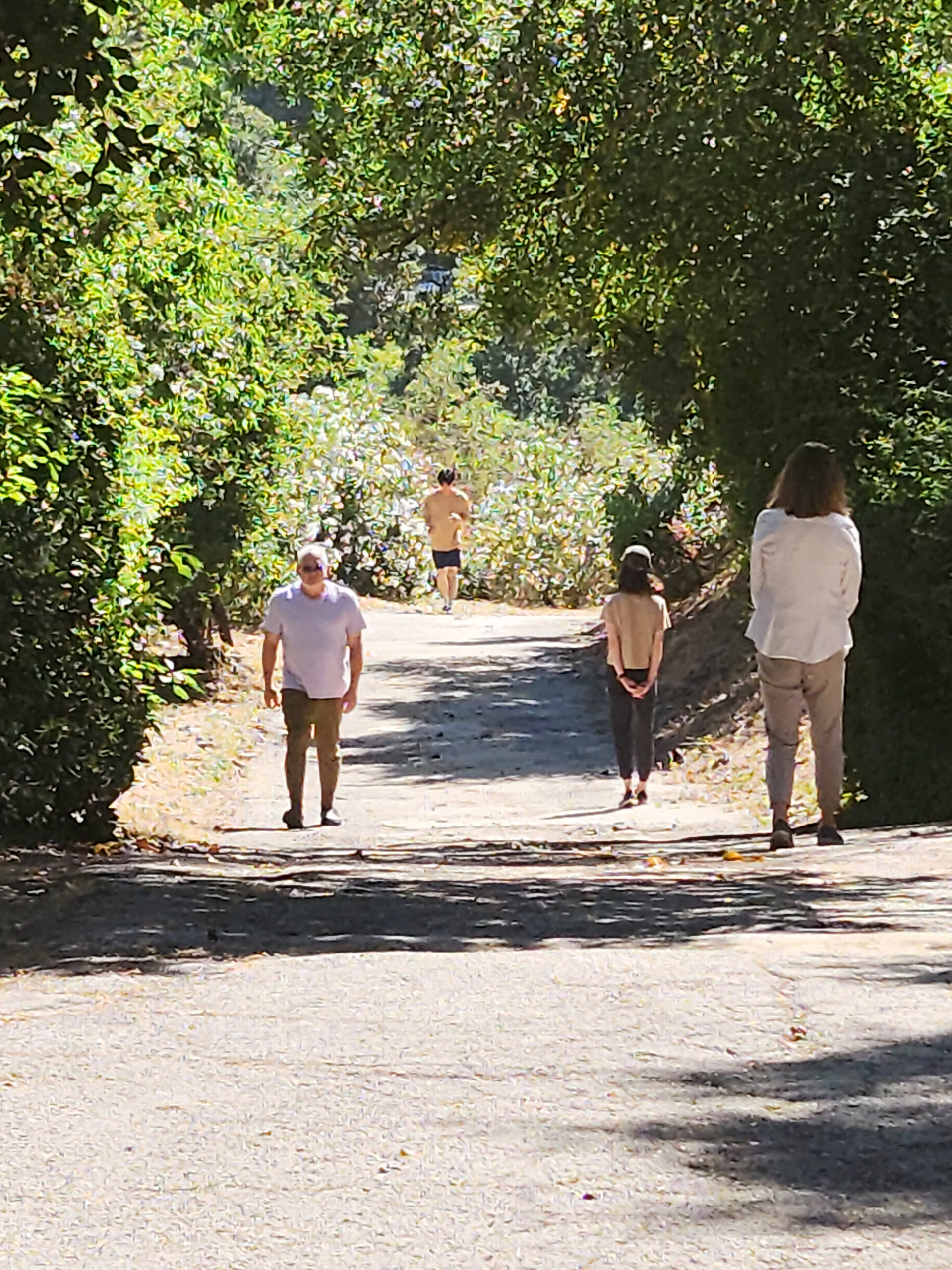 [In-Person] Self Practice Saturdays in the Canyon - InsightLA Meditation