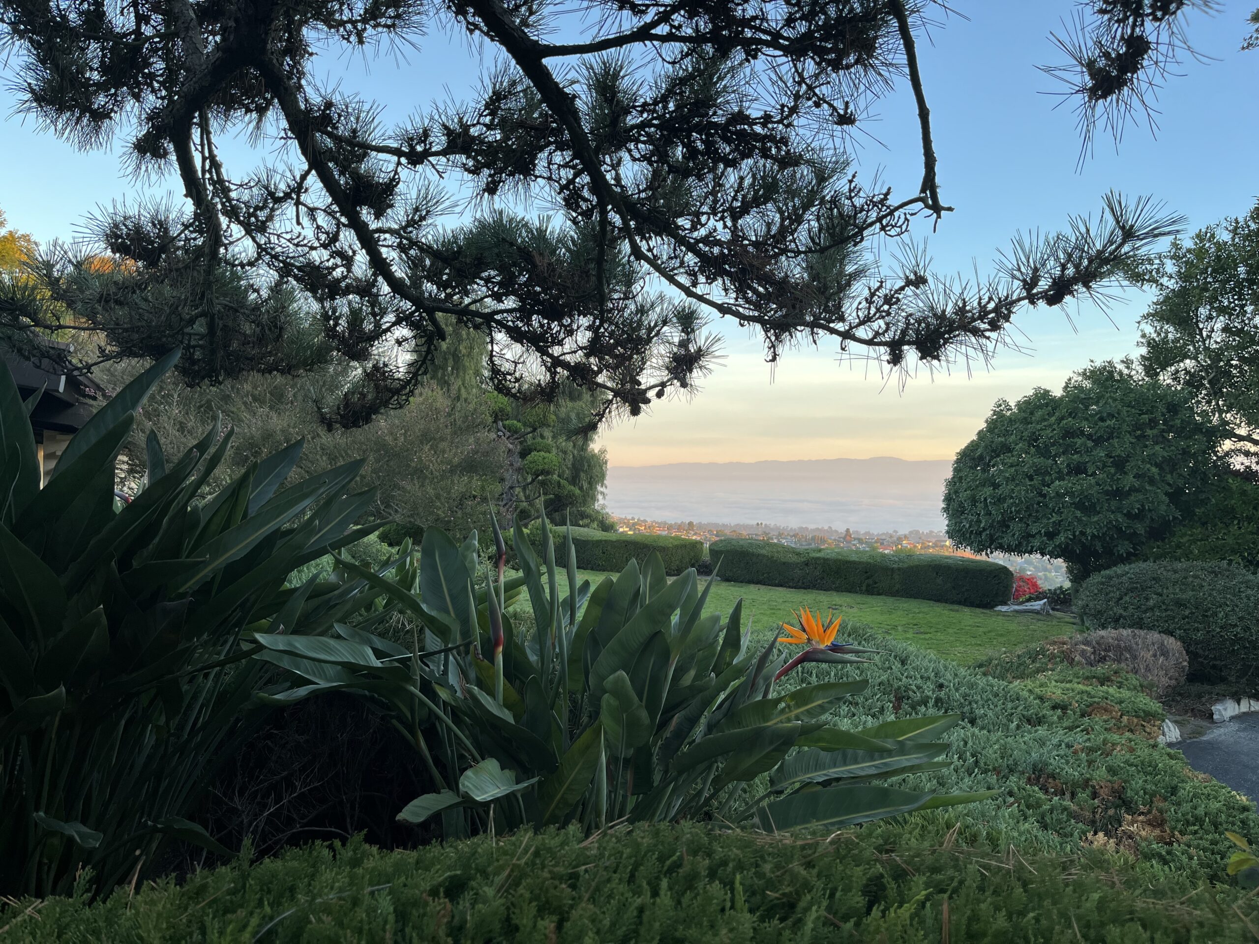Clear Seeing: An Insight Meditation Retreat - InsightLA Meditation